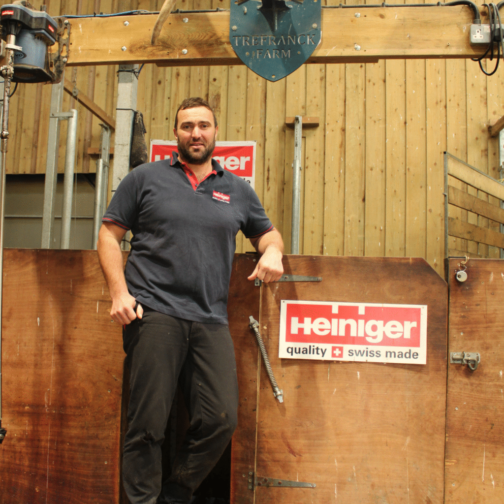 Q&A with competition sheep shearer and award-winning farmer Matt Smith ...